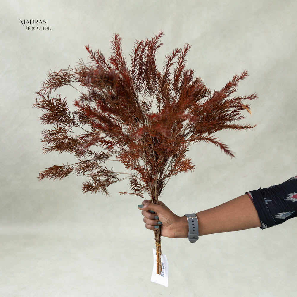 Brown Bushes | Madras Prop Store