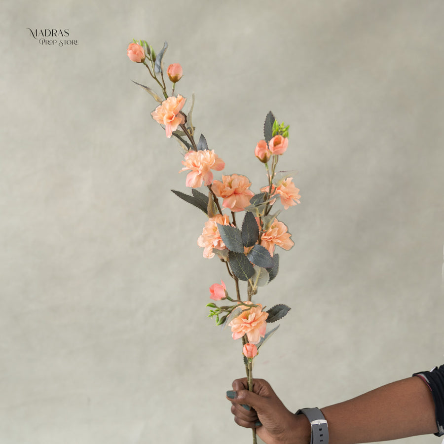 Peach Blossom – Madras Prop Store
