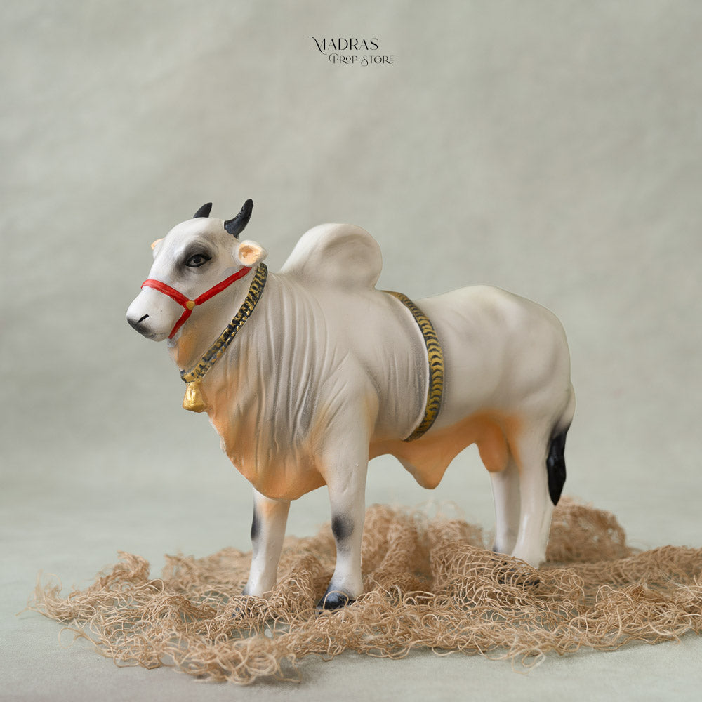 Realistic Bull Prop ( Shipping Extra ) – Madras Prop Store