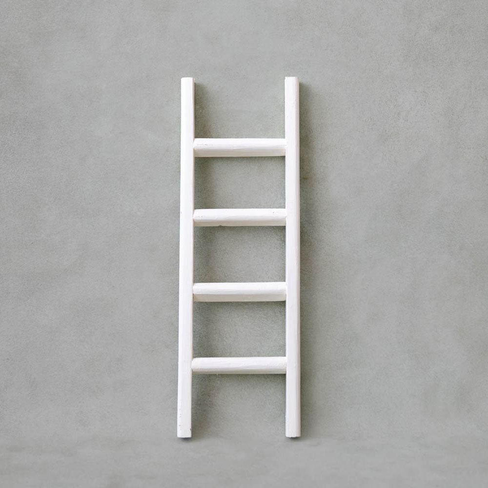 Barn Ladder – Madras Prop Store